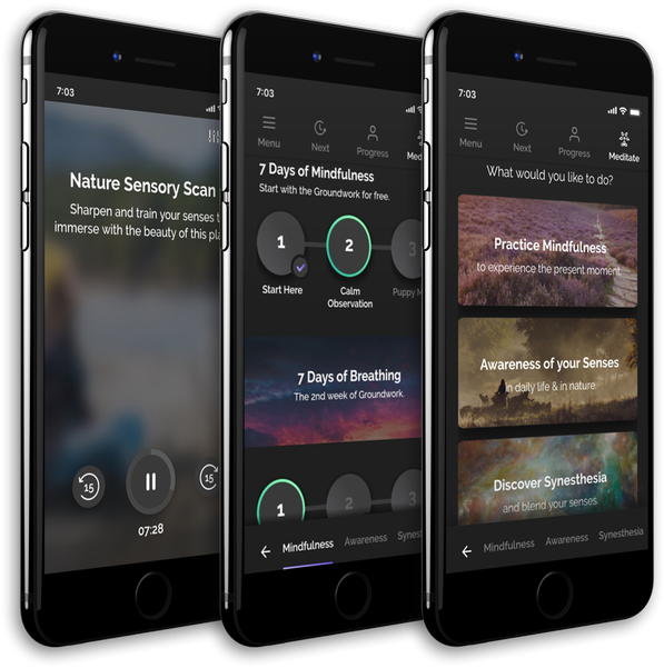 Synesthesia Meditation - discover your synesthetic abilities